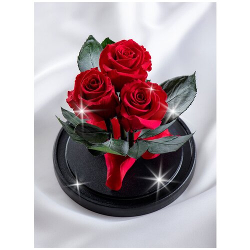 Живая роза в колбе Therosedome стабилизированная Премиум трио 6 см, цветок в колбе, вечная роза, подарок, декор для интерьера, цвет: красная
