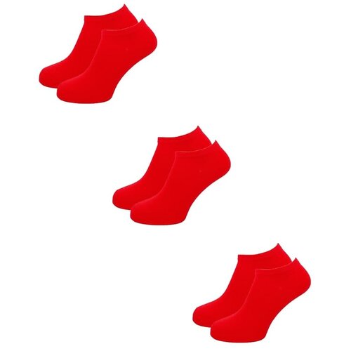 Носки LorenzLine, 3 пары, размер 41/42, красный