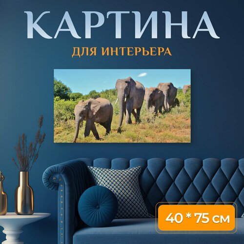 Картина на холсте "Саванновый африканский слон, стадо, слон" на подрамнике 75х40 см. для интерьера