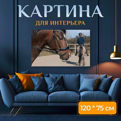 Картина на холсте "Лошадь, голова, профиль" на подрамнике 120х75 см. для интерьера