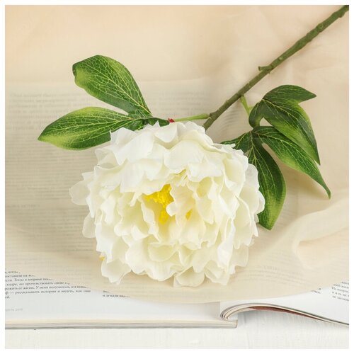 Цветы искусственные "Георгин Фин" 15х57 см (d цветка 13 см) белый