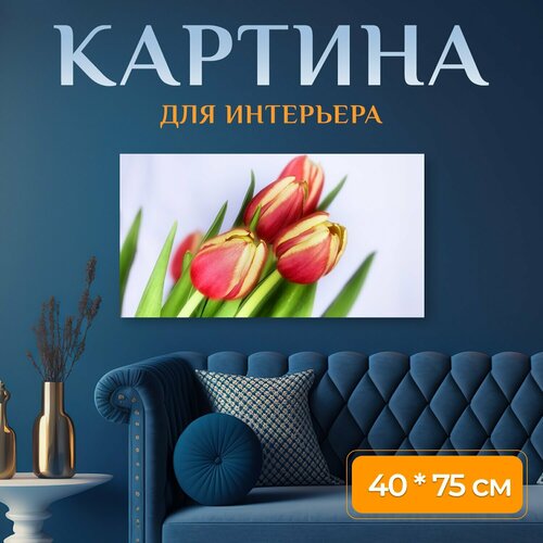 Картина на холсте "Тюльпаны, цветы, букет тюльпанов" на подрамнике 75х40 см. для интерьера