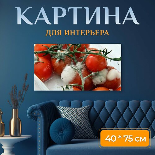 Картина на холсте "Питание, помидор, здоровый" на подрамнике 75х40 см. для интерьера