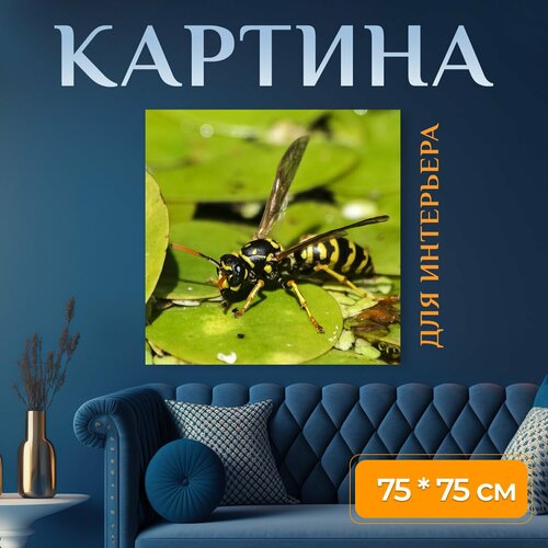 Картина на холсте "Оса, насекомое, природа" на подрамнике 75х75 см. для интерьера