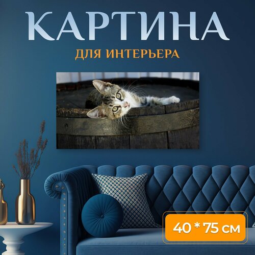 Картина на холсте "Кошка, котенок, деревянный" на подрамнике 75х40 см. для интерьера