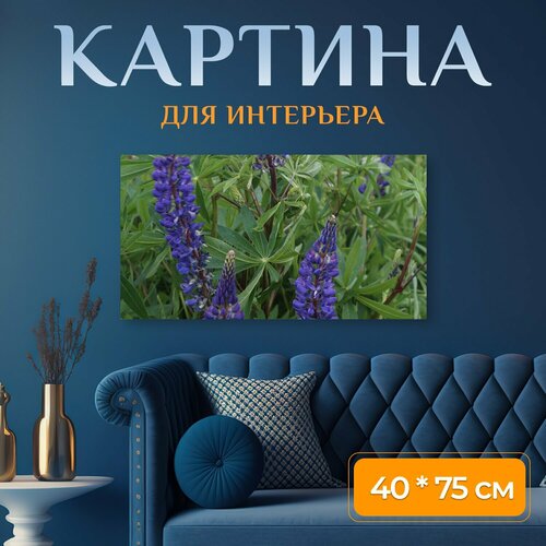 Картина на холсте "Люпинии, флора, цветок" на подрамнике 75х40 см. для интерьера