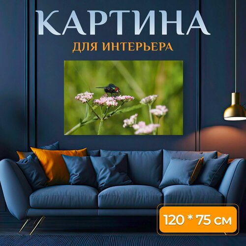 Картина на холсте "Жук, насекомое, летать" на подрамнике 120х75 см. для интерьера