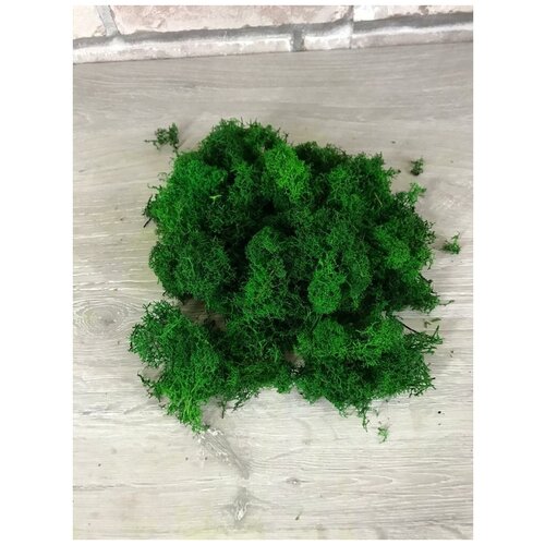 Стабилизированный мох ягель 2 сорт (обрезки) 0,5 кг цвет зеленый/мох для флористики дизайна декора озеленения