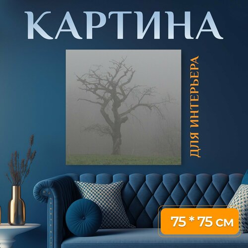Картина на холсте "Туман, дерево, туманный" на подрамнике 75х75 см. для интерьера