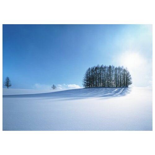Постер на холсте Деревья в снегу №1 42см. x 30см.