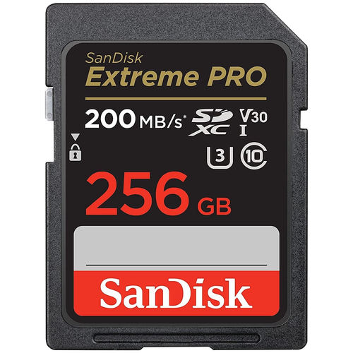 Карта памяти SanDisk SDXC 256 ГБ Class 10, V30, A2, UHS-I U3, 1 шт., черный