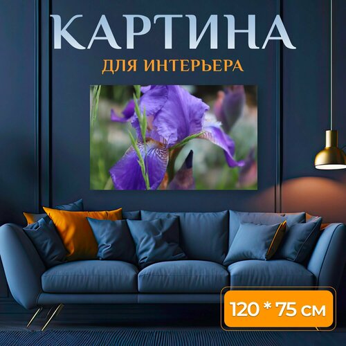 Картина на холсте "Ирисы, ирис, цветок" на подрамнике 120х75 см. для интерьера