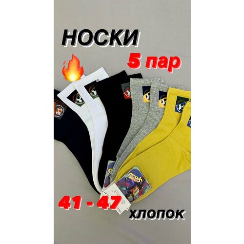 Носки Фенна, 5 пар, размер 41/47, желтый, серый, белый, черный, синий