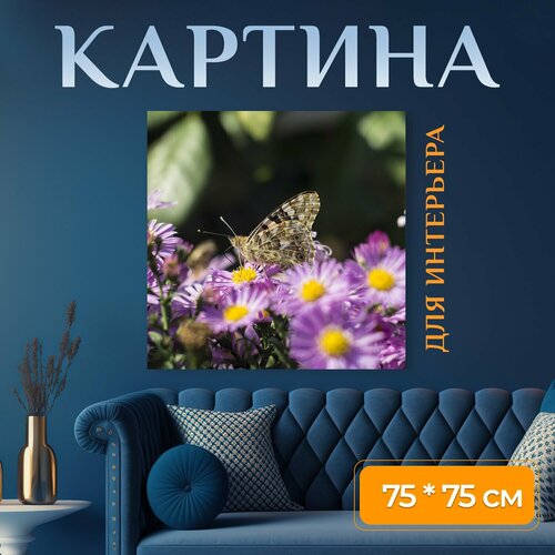 Картина на холсте "Бабочка, крыло, цветок" на подрамнике 75х75 см. для интерьера