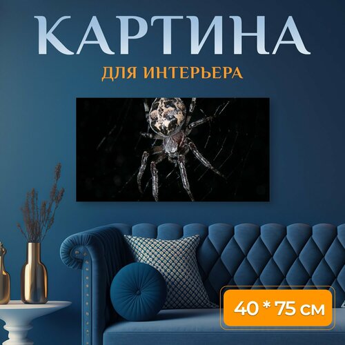 Картина на холсте "Паук, насекомое, сеть" на подрамнике 75х40 см. для интерьера