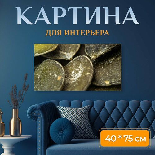 Картина на холсте "Тыква, семена, фрукты" на подрамнике 75х40 см. для интерьера