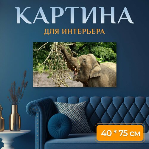 Картина на холсте "Слон, труба, млекопитающее" на подрамнике 75х40 см. для интерьера