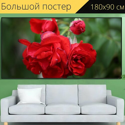 Большой постер "Розы, цветы, завод" 180 x 90 см. для интерьера