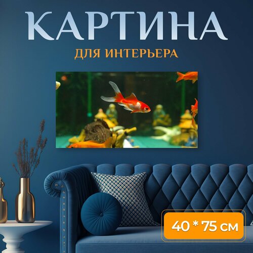 Картина на холсте "Рыбы, золотая рыбка, пресноводная рыба" на подрамнике 75х40 см. для интерьера