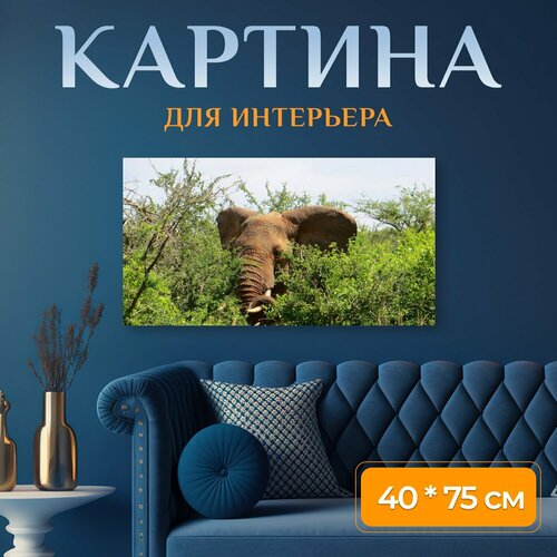 Картина на холсте "Слон, животное, сафари" на подрамнике 75х40 см. для интерьера