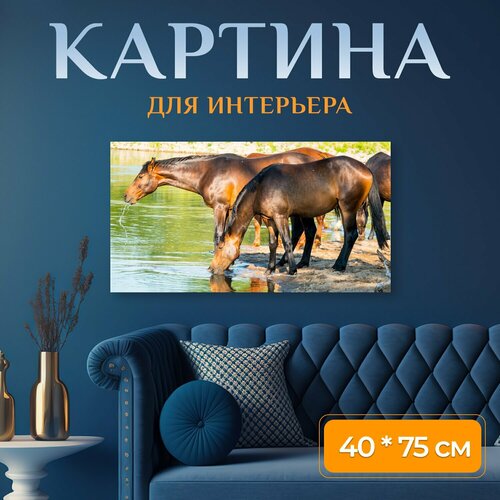 Картина на холсте "Лошадь, пастбище, зелья" на подрамнике 75х40 см. для интерьера
