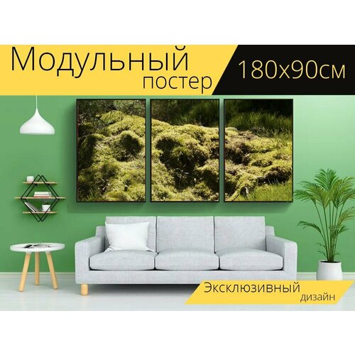 Модульный постер "Мох, моховое, мшистый" 180 x 90 см. для интерьера