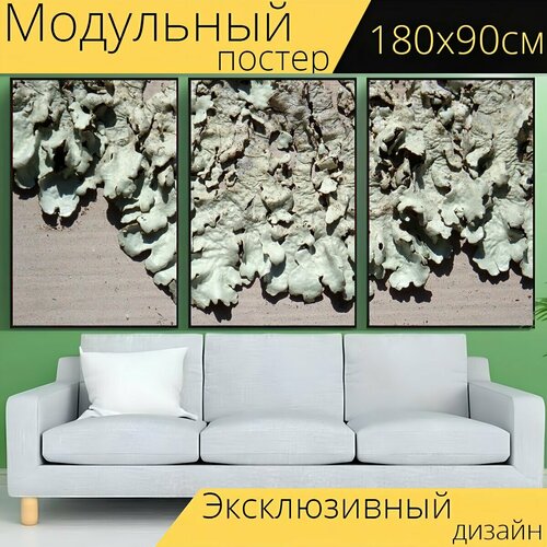Модульный постер "Лишайник, мох, водоросли" 180 x 90 см. для интерьера