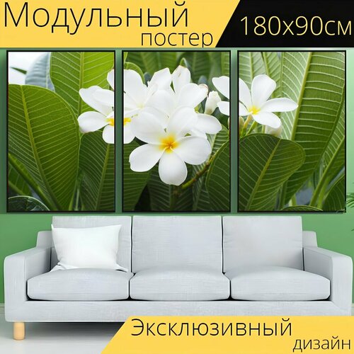 Модульный постер "Цветок, белый, ботанический" 180 x 90 см. для интерьера