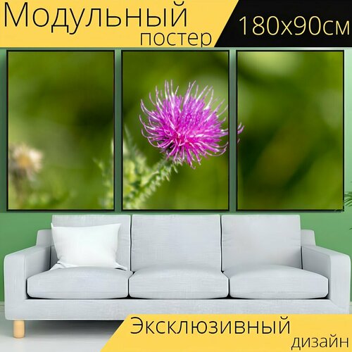 Модульный постер "Уайлдфлауэр, луговой цветок, цветок" 180 x 90 см. для интерьера