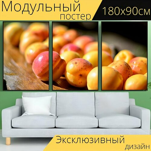 Модульный постер "Абрикос, фрукты, макро" 180 x 90 см. для интерьера