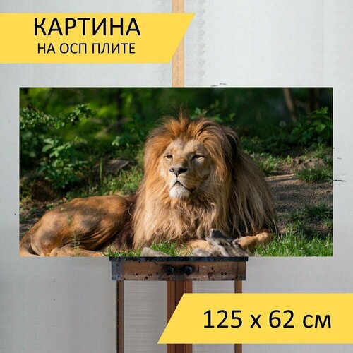 Картина на ОСП 125х62 см. "Лев, царь зверей, африке" горизонтальная, для интерьера, с креплениями