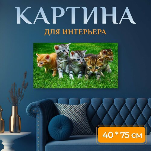 Картина на холсте "Котята, кошки, домашний питомец" на подрамнике 75х40 см. для интерьера