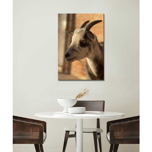 Картина - Коза, пятнистая коза, козел, пятнистый козел (2) 60х80
