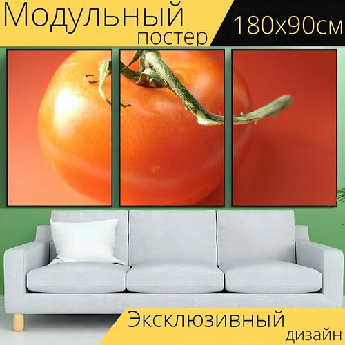 Модульный постер "Помидор, еда, красный" 180 x 90 см. для интерьера