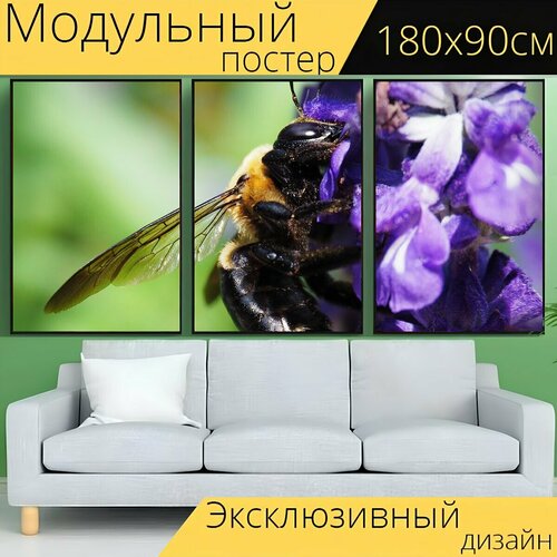 Модульный постер "Пчела, природа, насекомое" 180 x 90 см. для интерьера