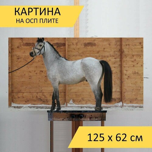 Картина на ОСП 125х62 см. "Пони, лошадь, стандарт" горизонтальная, для интерьера, с креплениями