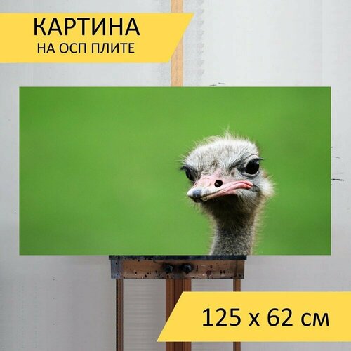 Картина на ОСП 125х62 см. "Страус, портрет птицы, портрет" горизонтальная, для интерьера, с креплениями