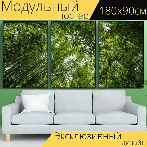 Модульный постер "Бамбук, лес, зеленый" 180 x 90 см. для интерьера