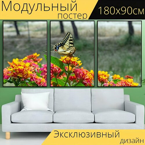 Модульный постер "Бабочка, ласточкин хвост, махаон" 180 x 90 см. для интерьера