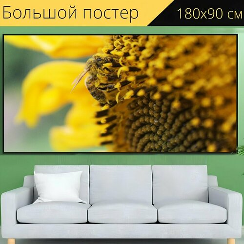 Большой постер "Подсолнечник, пчела, цветни" 180 x 90 см. для интерьера