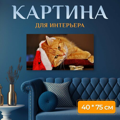 Картина на холсте "Кот, похмелье, красный" на подрамнике 75х40 см. для интерьера
