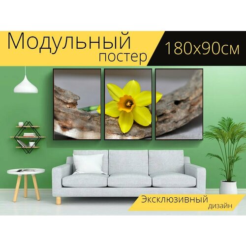 Модульный постер "Нарцисс, цветок, весенний цветок" 180 x 90 см. для интерьера