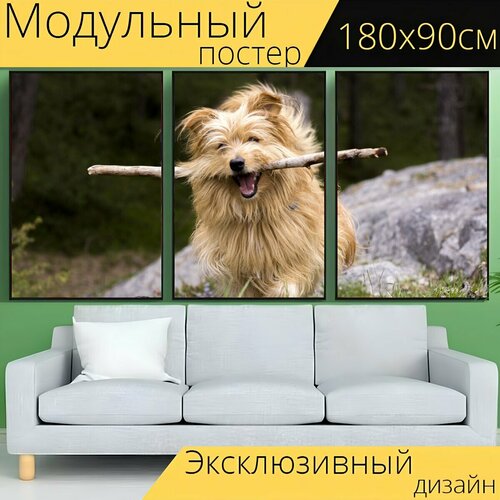 Модульный постер "Собака, пол, лес" 180 x 90 см. для интерьера