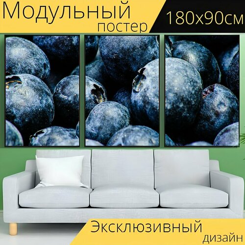 Модульный постер "Ингредиенты, черника, фрукты" 180 x 90 см. для интерьера
