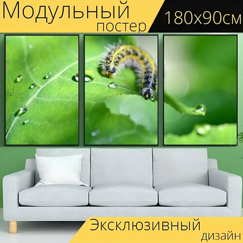 Модульный постер "Гусеница, лист, капельки воды" 180 x 90 см. для интерьера