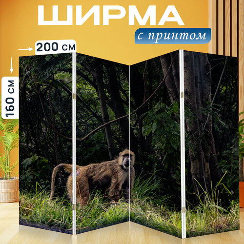 Ширма перегородка с принтом "Бабуин, обезьяна, дикий" на холсте - 200x160 см. для зонирования, раскладная