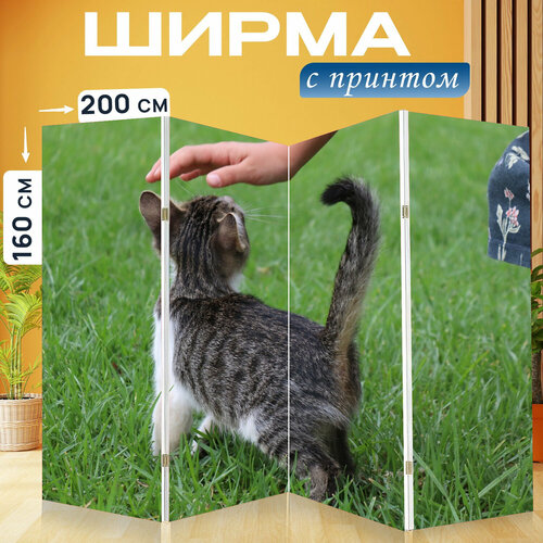 Ширма перегородка с принтом "Кот, животное, ребенок" на холсте - 200x160 см. для зонирования, раскладная