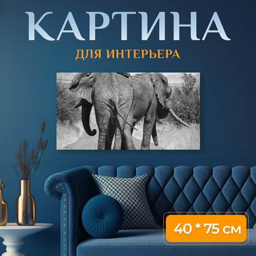 Картина на холсте "Слон, африка, большой" на подрамнике 75х40 см. для интерьера