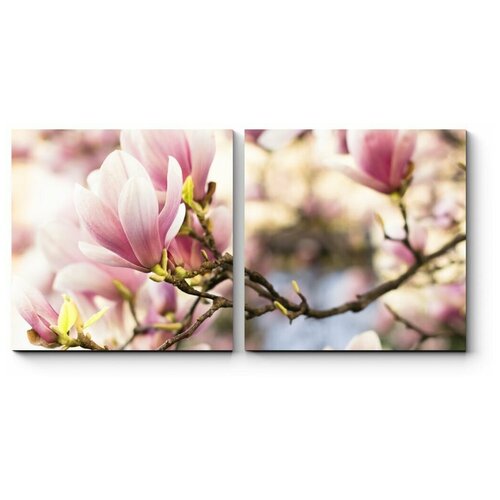 Модульная картина Весны прекрасное цветение 130x65