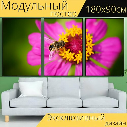 Модульный постер "Пчела, цветок, природа" 180 x 90 см. для интерьера